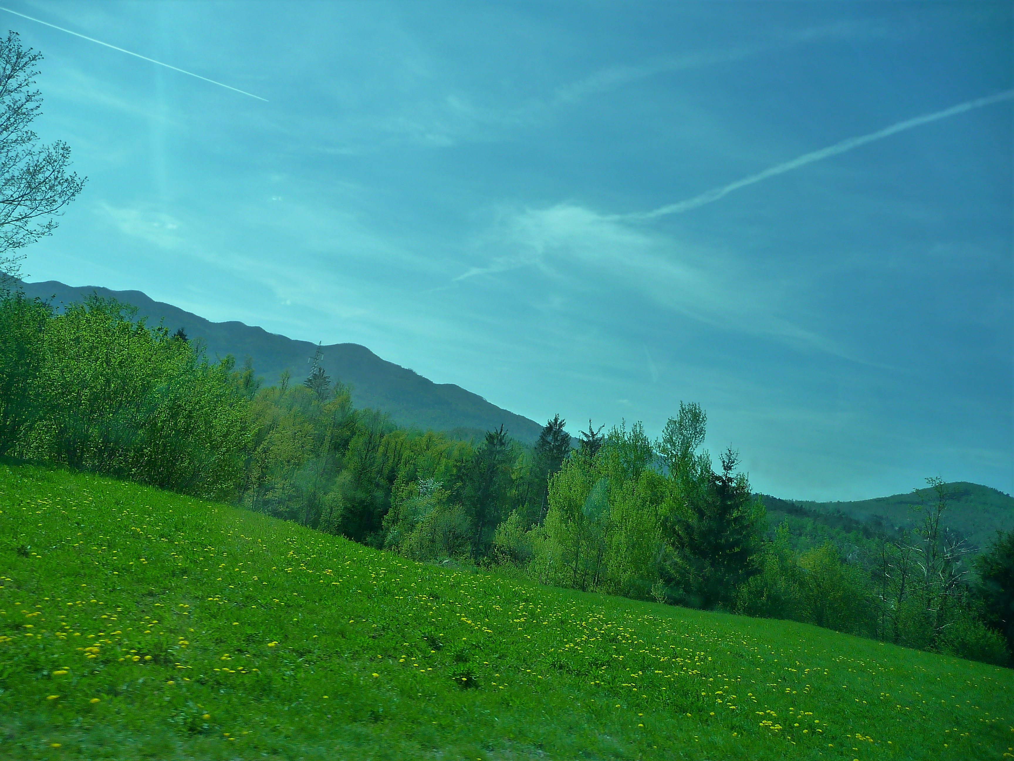 How to Spell Nothing | Campfire Tales